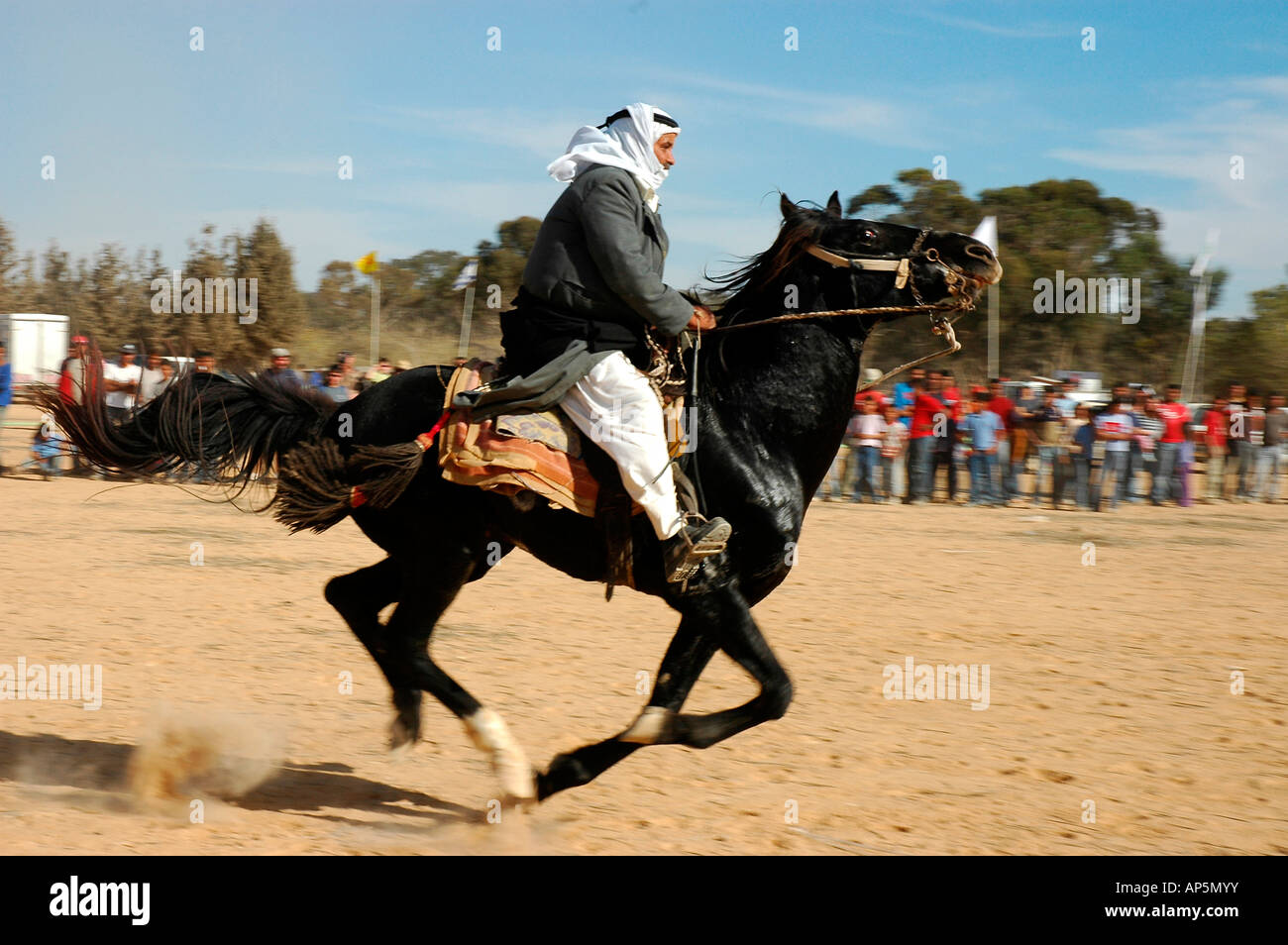 Israel Negev Beduin horse racing in the desert Stock Photo - Alamy