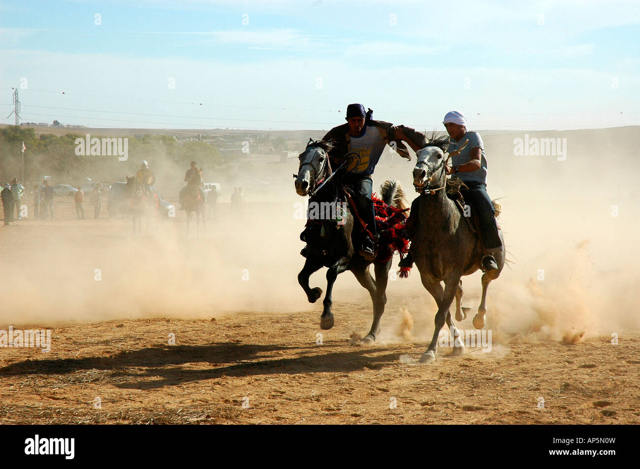 Israel Negev Beduin horse racing in the desert Stock Photo - Alamy