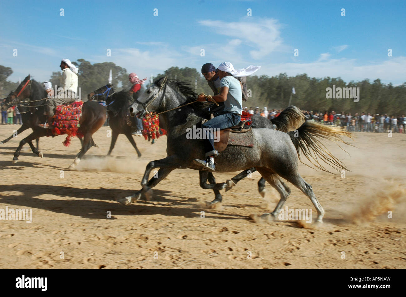 Israel Negev Beduin horse racing in the desert Stock Photo - Alamy
