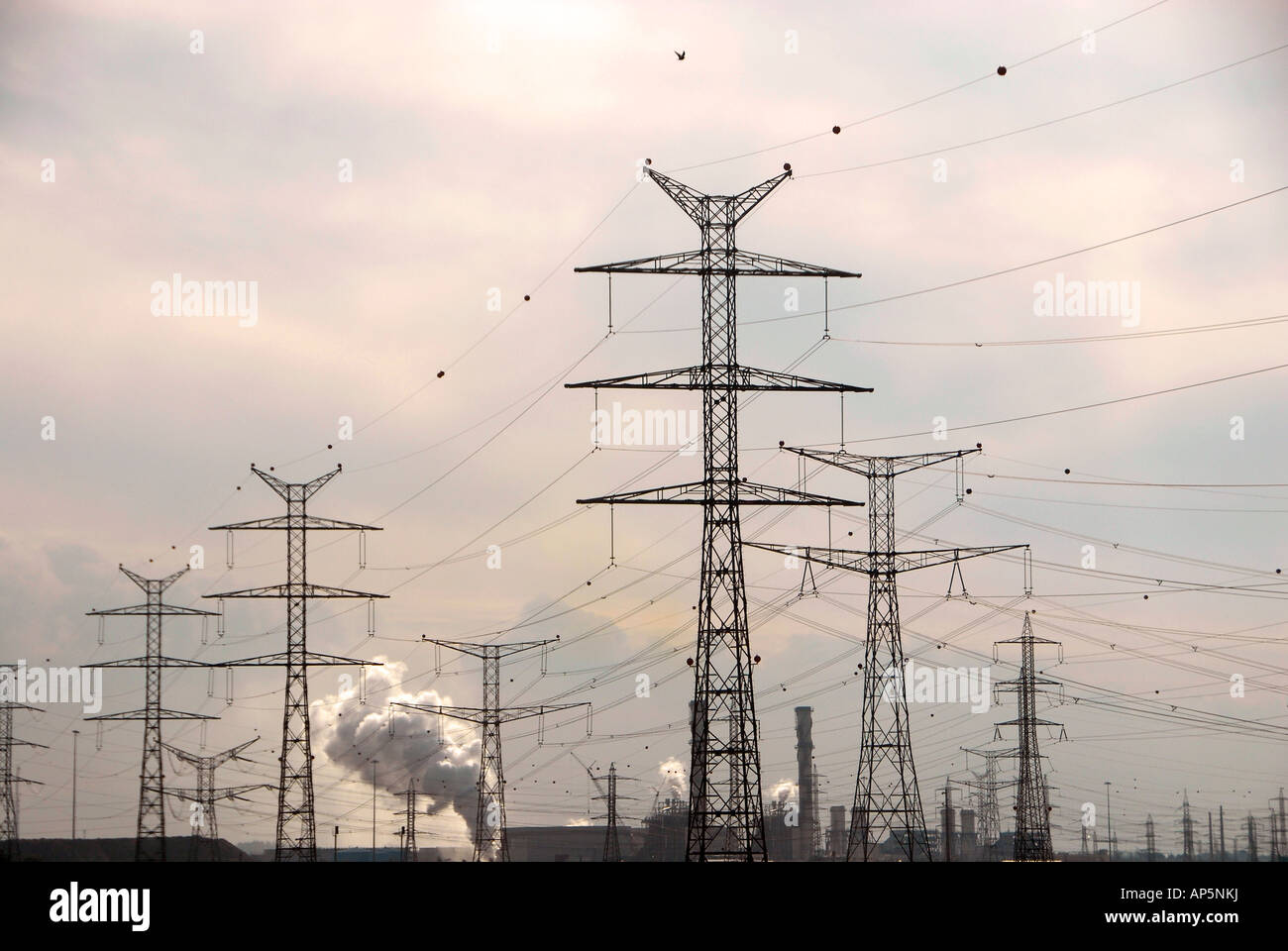 High voltage power transmission lines and electrical pylon in Israel ...