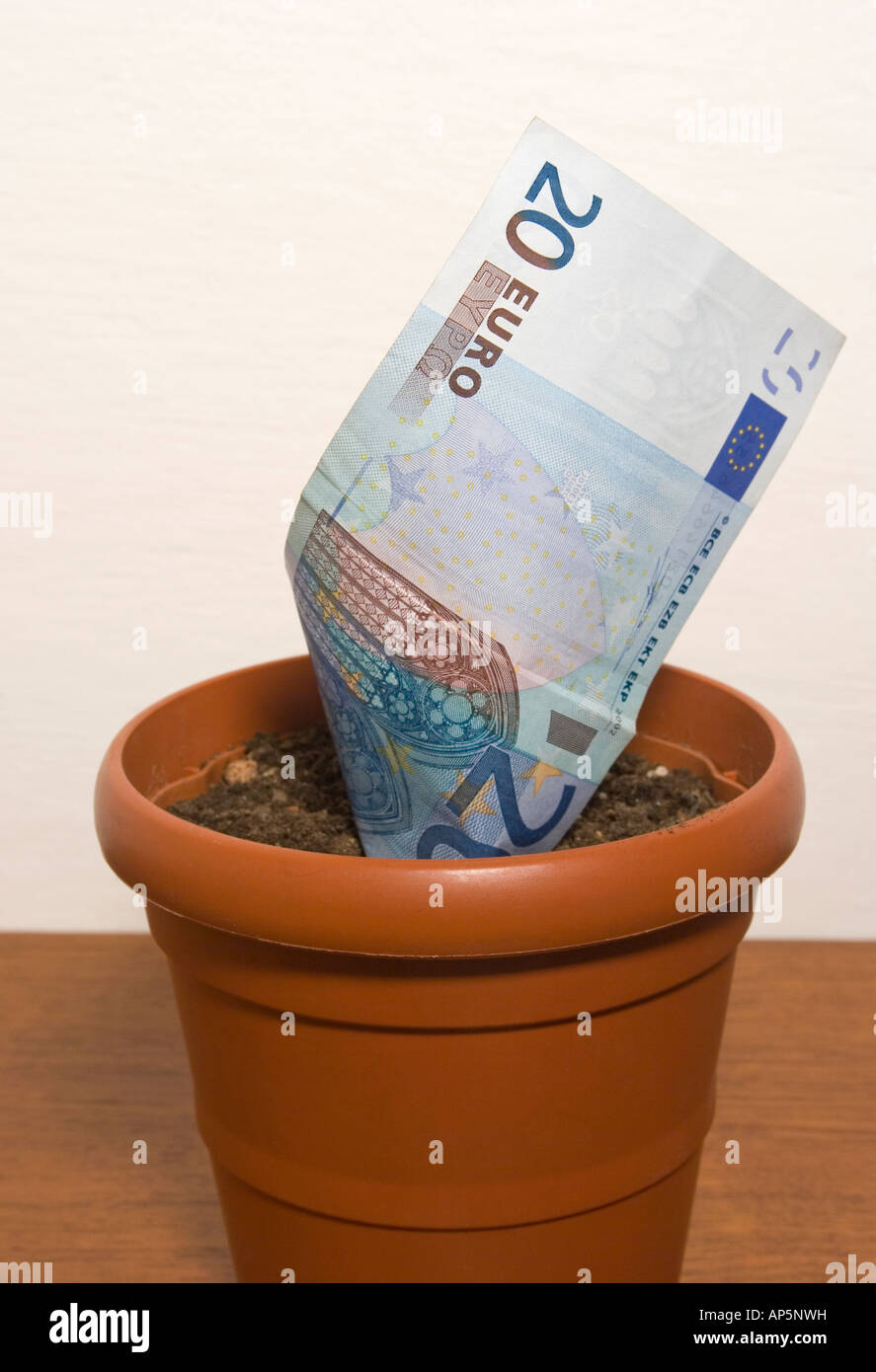 20 euro growing in the pot Stock Photo - Alamy
