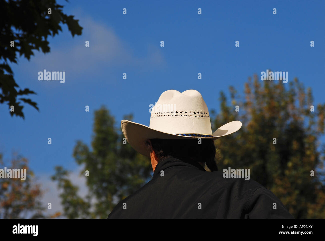 Back view young woman cowgirl hi-res stock photography and images - Alamy