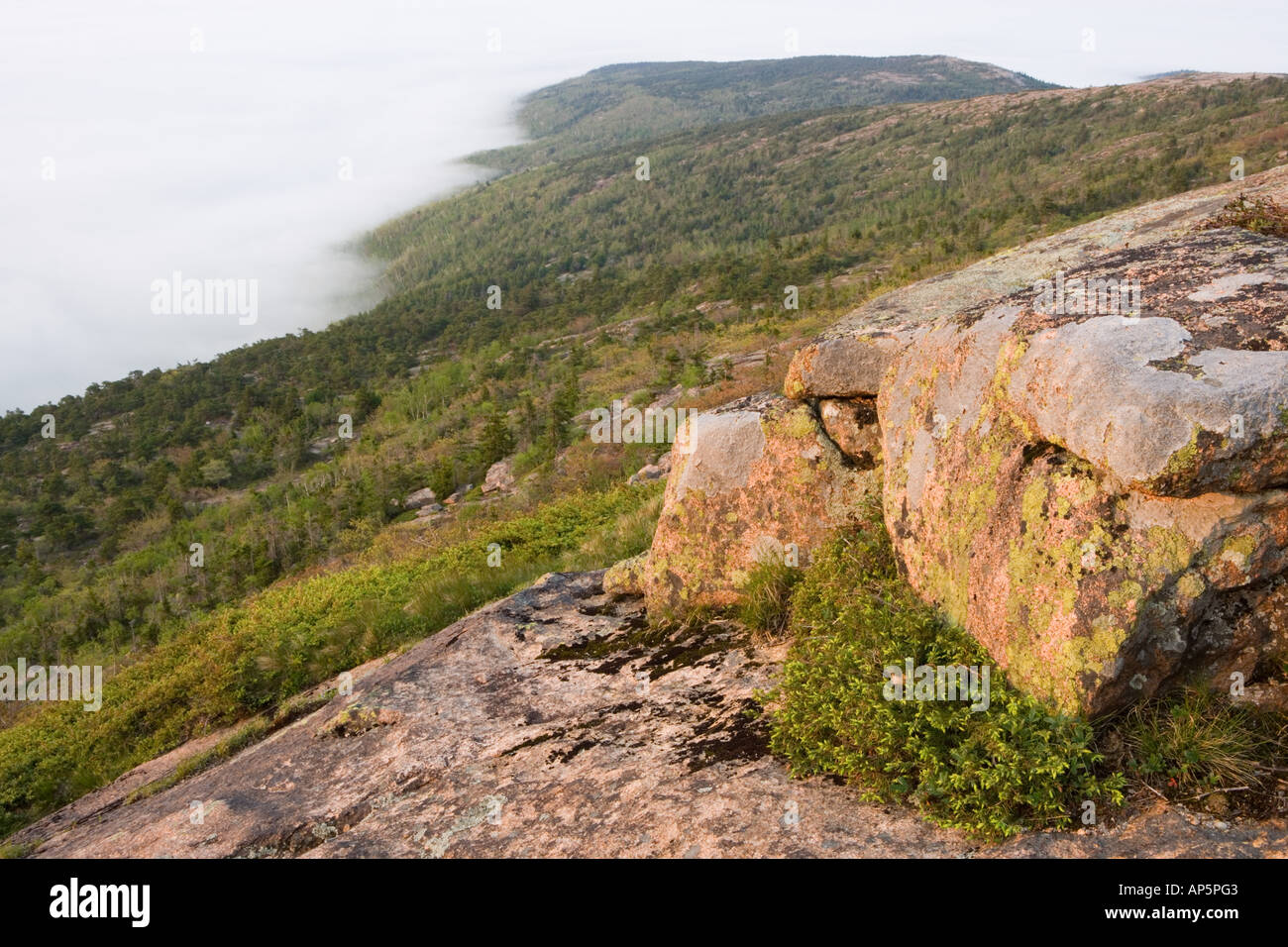 Morning fog fills the valleys below Cadillac Mountain in Maine's Acadia ...