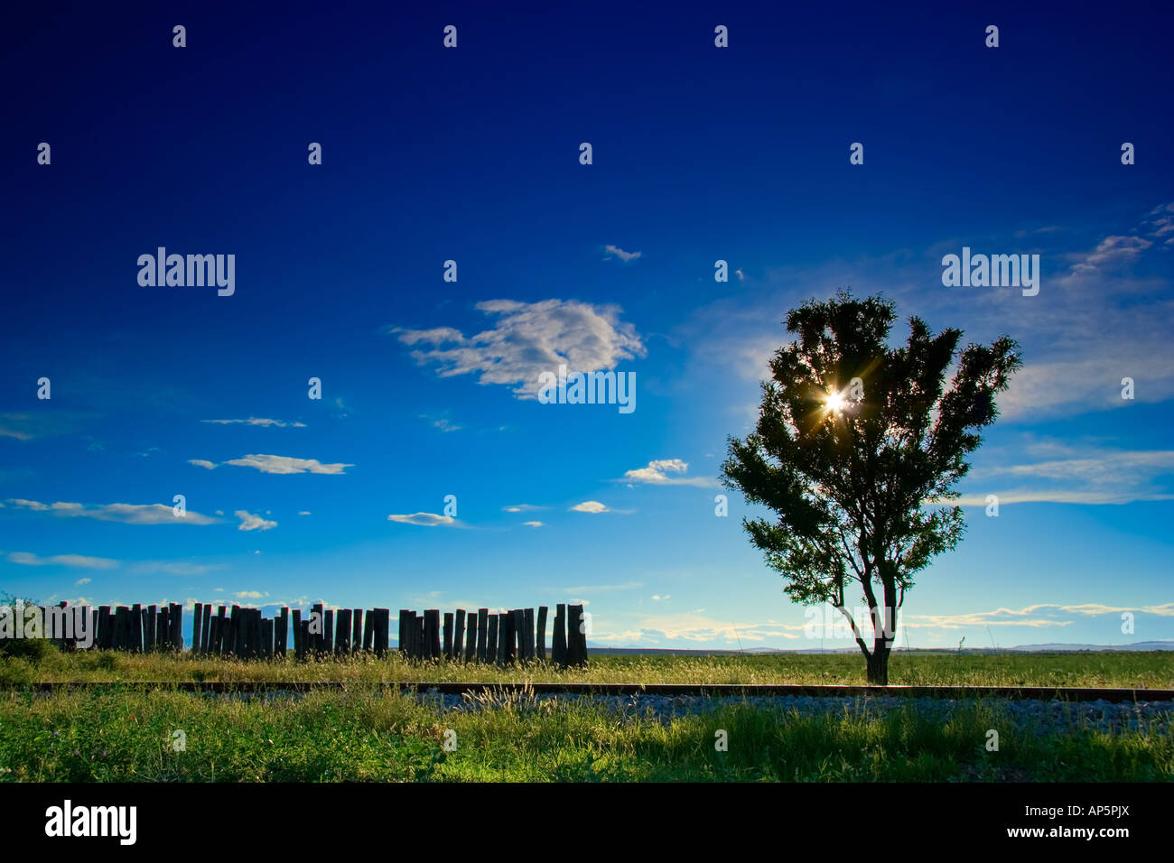 Lonesome tree next to a railway track in the region of Ovce Pole Stock ...