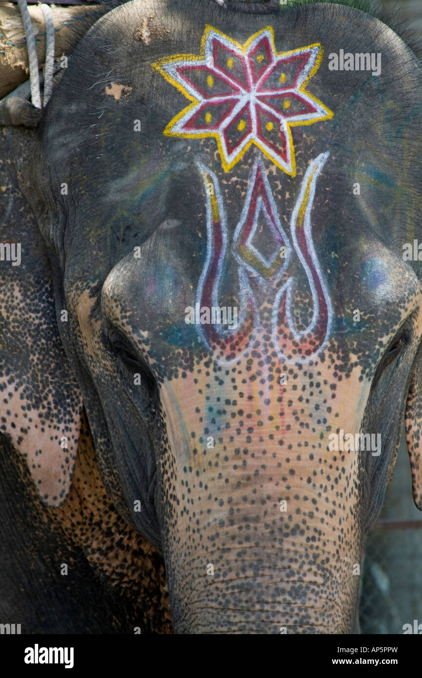 Painted sacred elephant. Close up shot. Vertical shot Stock Photo - Alamy