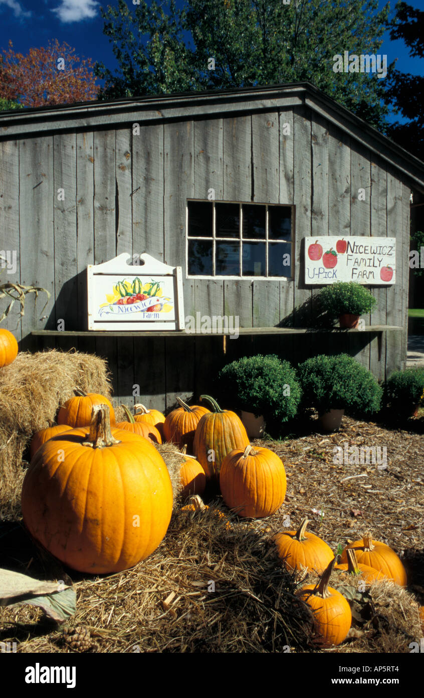 Nicewicz farm hi-res stock photography and images - Alamy