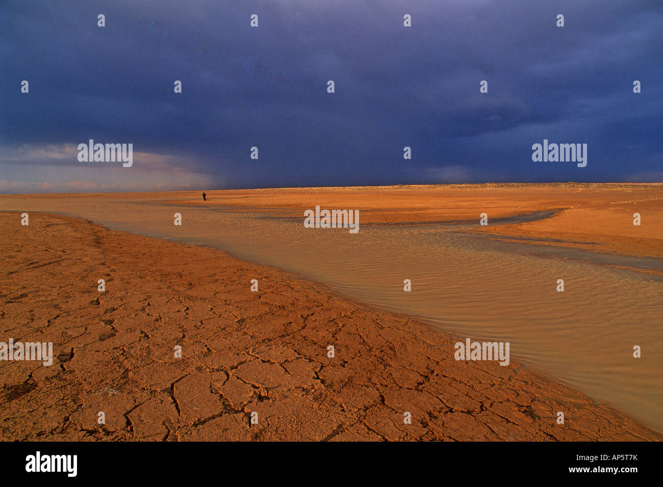 Jordan, Badia. Dramatic desert scene. Surface dried out after one ...