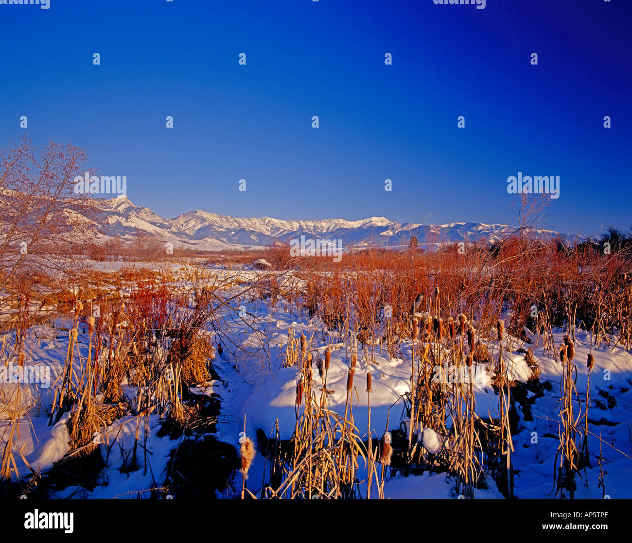 Reese creek hi-res stock photography and images - Alamy