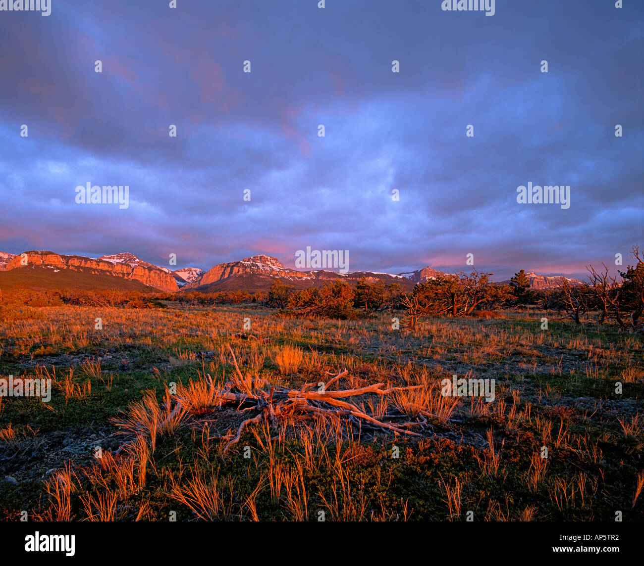 The Rocky Mountain Front at Blackleaf Canyon in Montana Stock Photo - Alamy