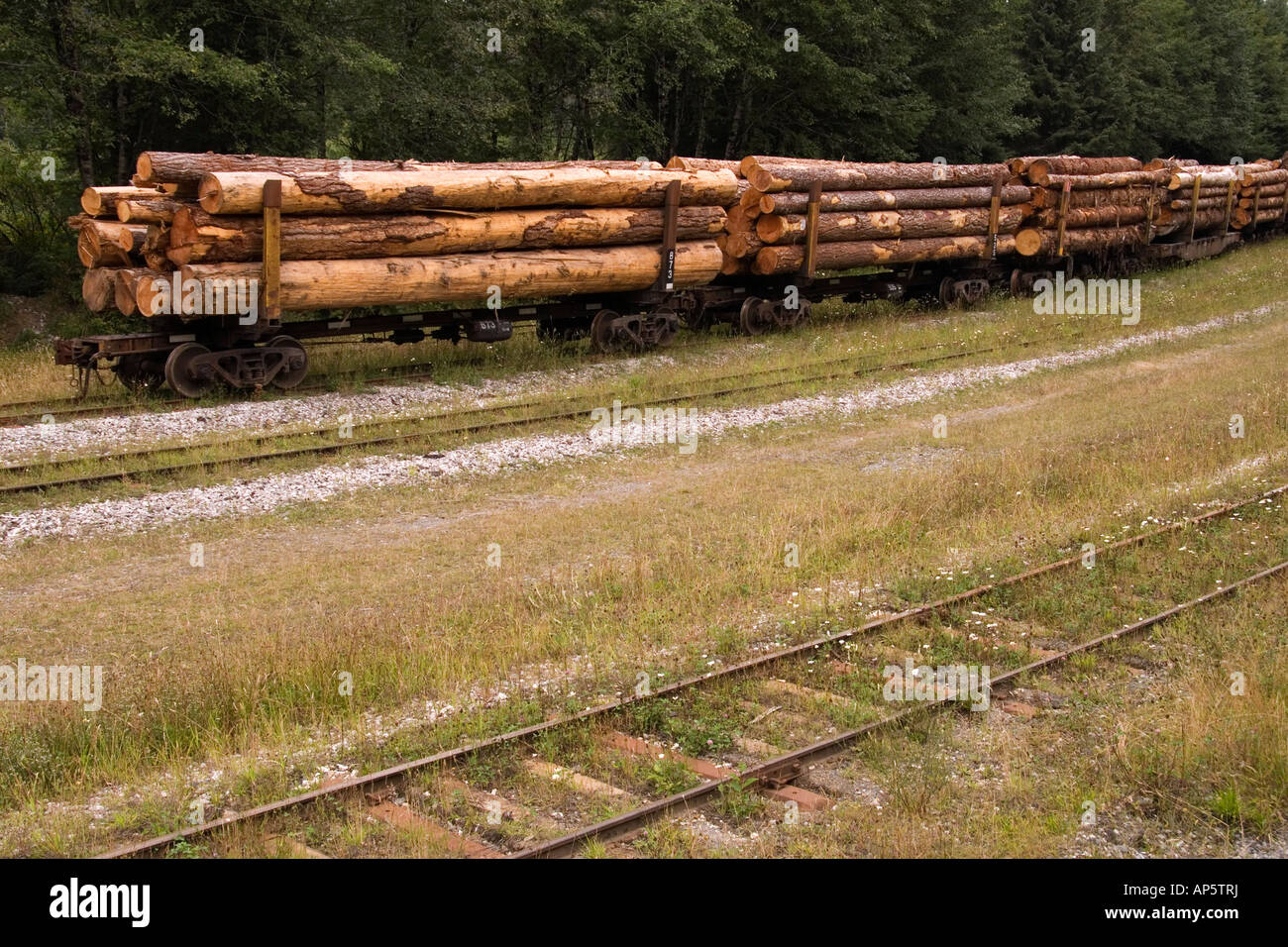 Lumber rail car hi-res stock photography and images - Alamy