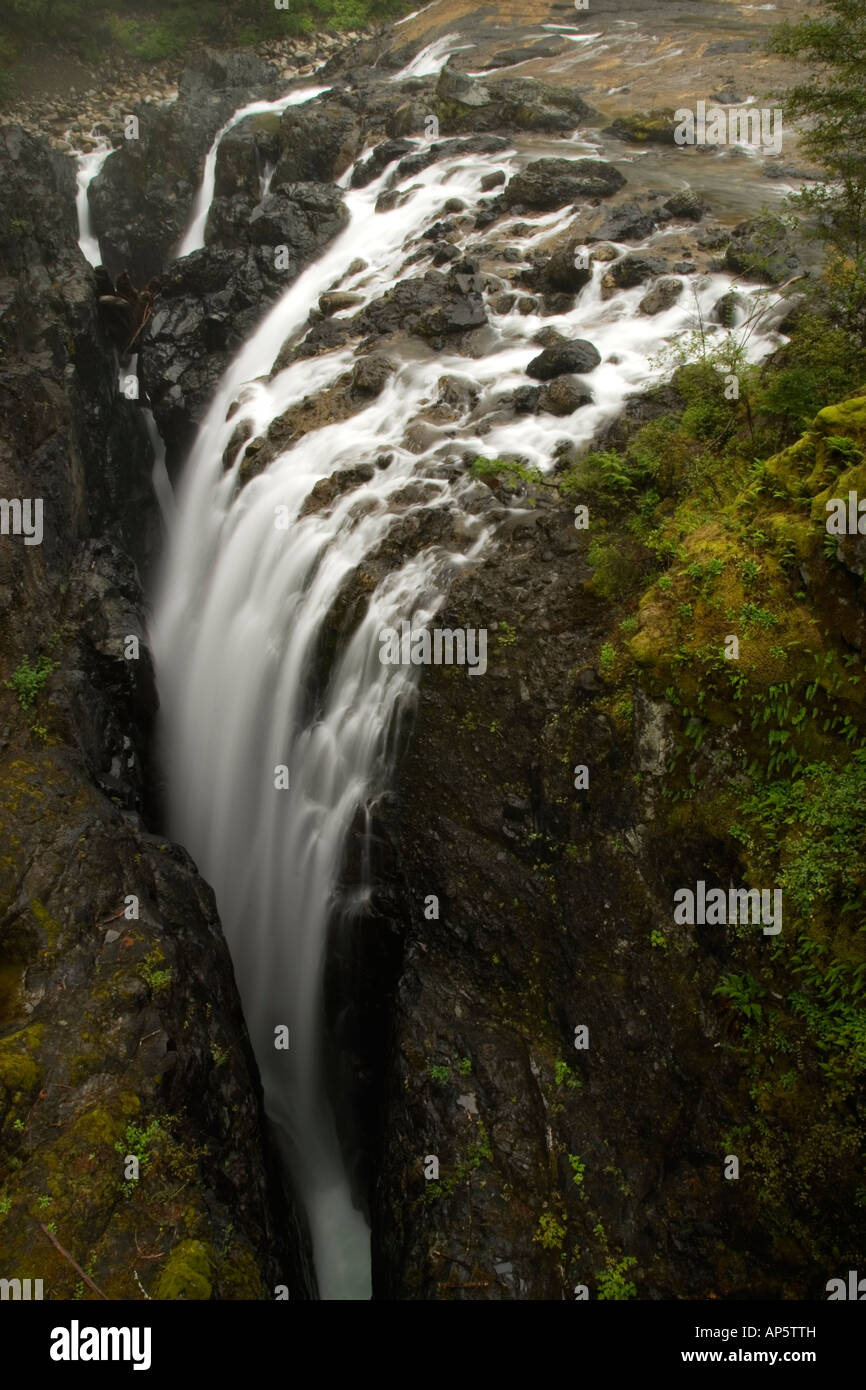 Englishman River Falls Provincial Park, Vancouver Island, British ...