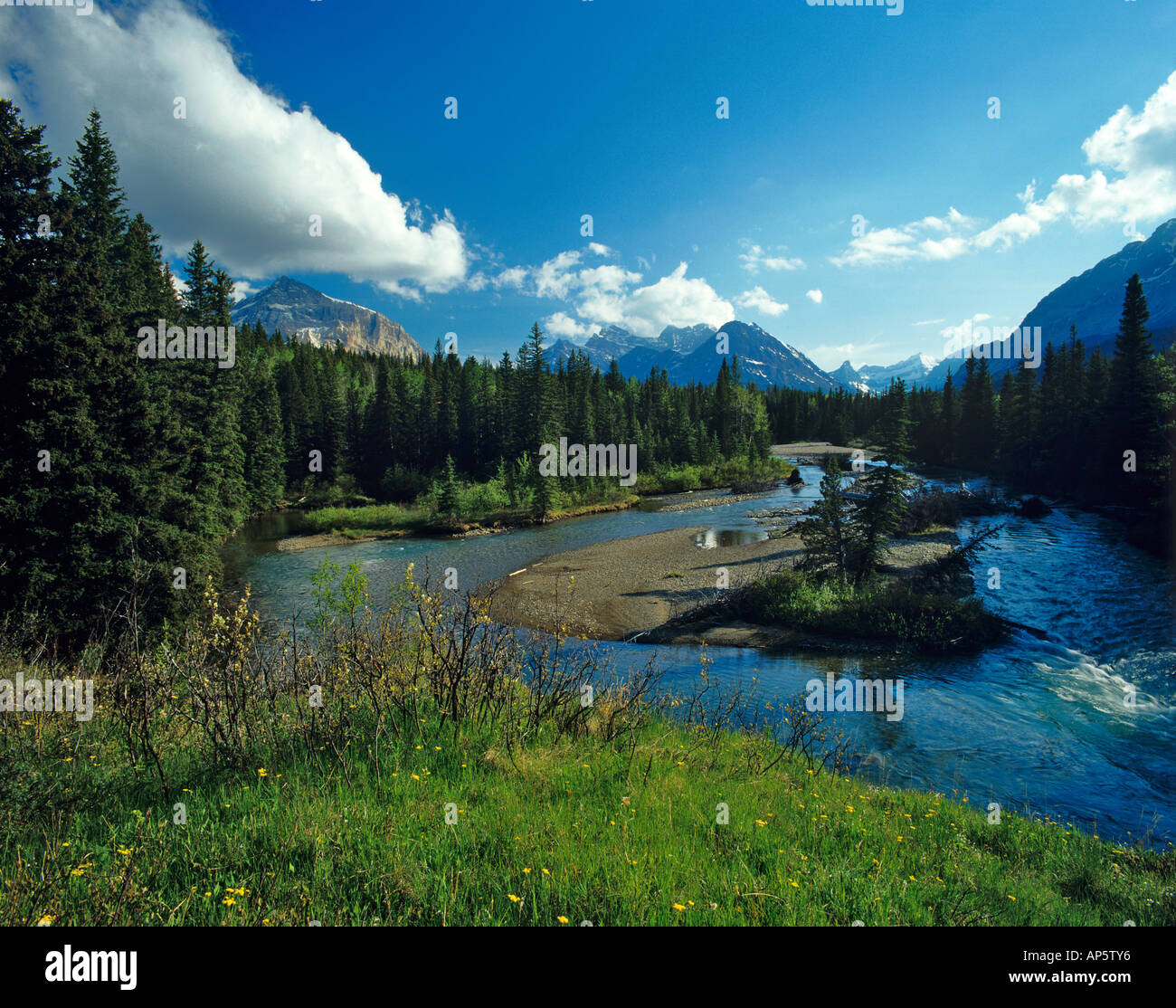 The Belly River in the backcountry of Glacier National Park, Montana ...