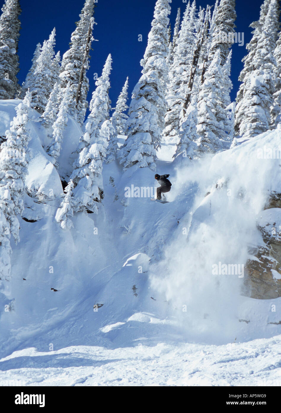 Snowboarder Jumps Cliff at Big Mountain resort in Whitefish Montana (MR ...
