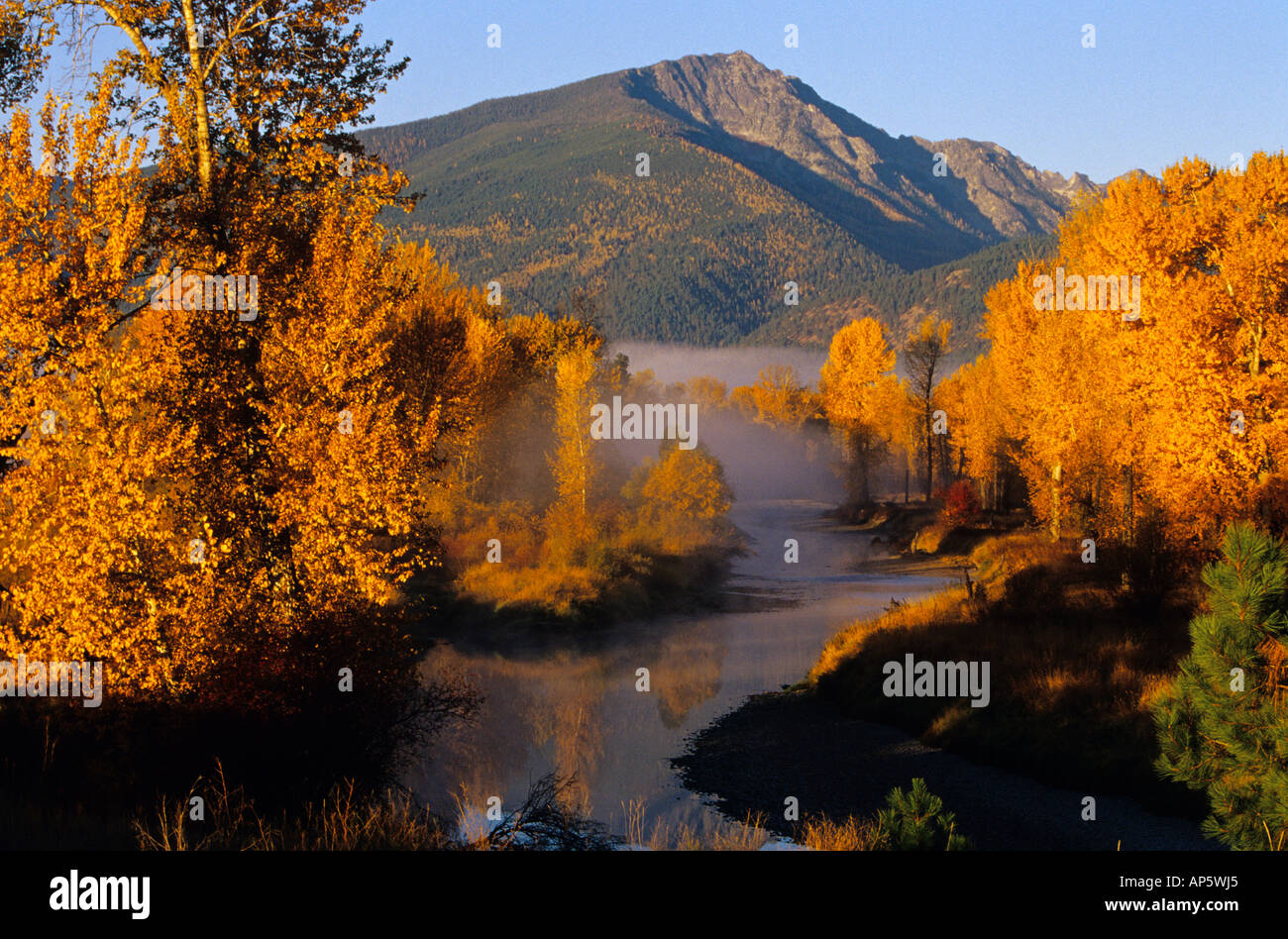 Autumn Color on the Bitterroot River near Florence Montana Stock Photo - Alamy