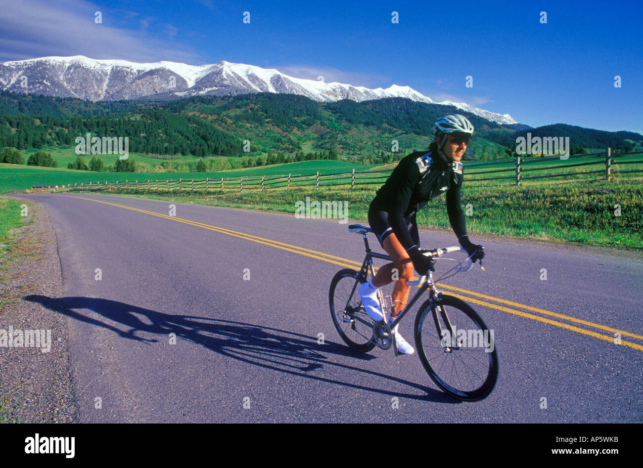 Road Cyclist near Bozeman Montana in Bridger Canyon (MR Stock Photo - Alamy