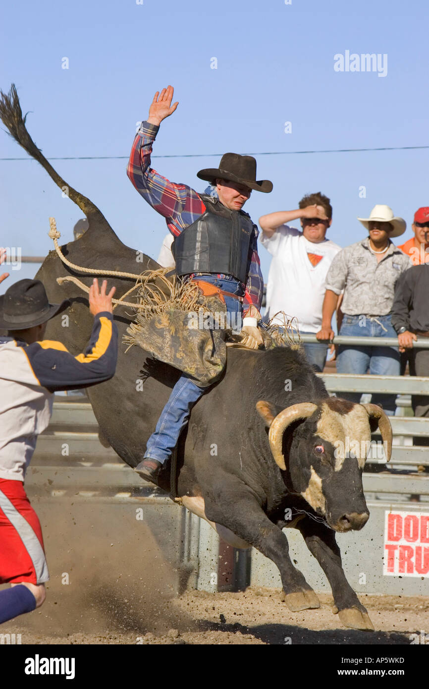 Bull Riding Montana High Resolution Stock Photography and Images - Alamy