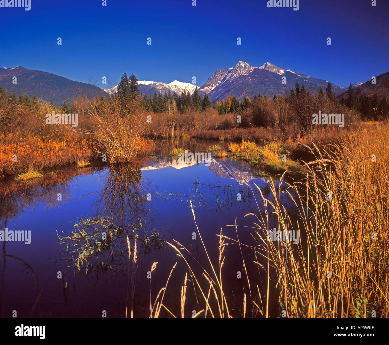 Backwater of the Bull River reflects the Cabinet Mountains in Montana ...