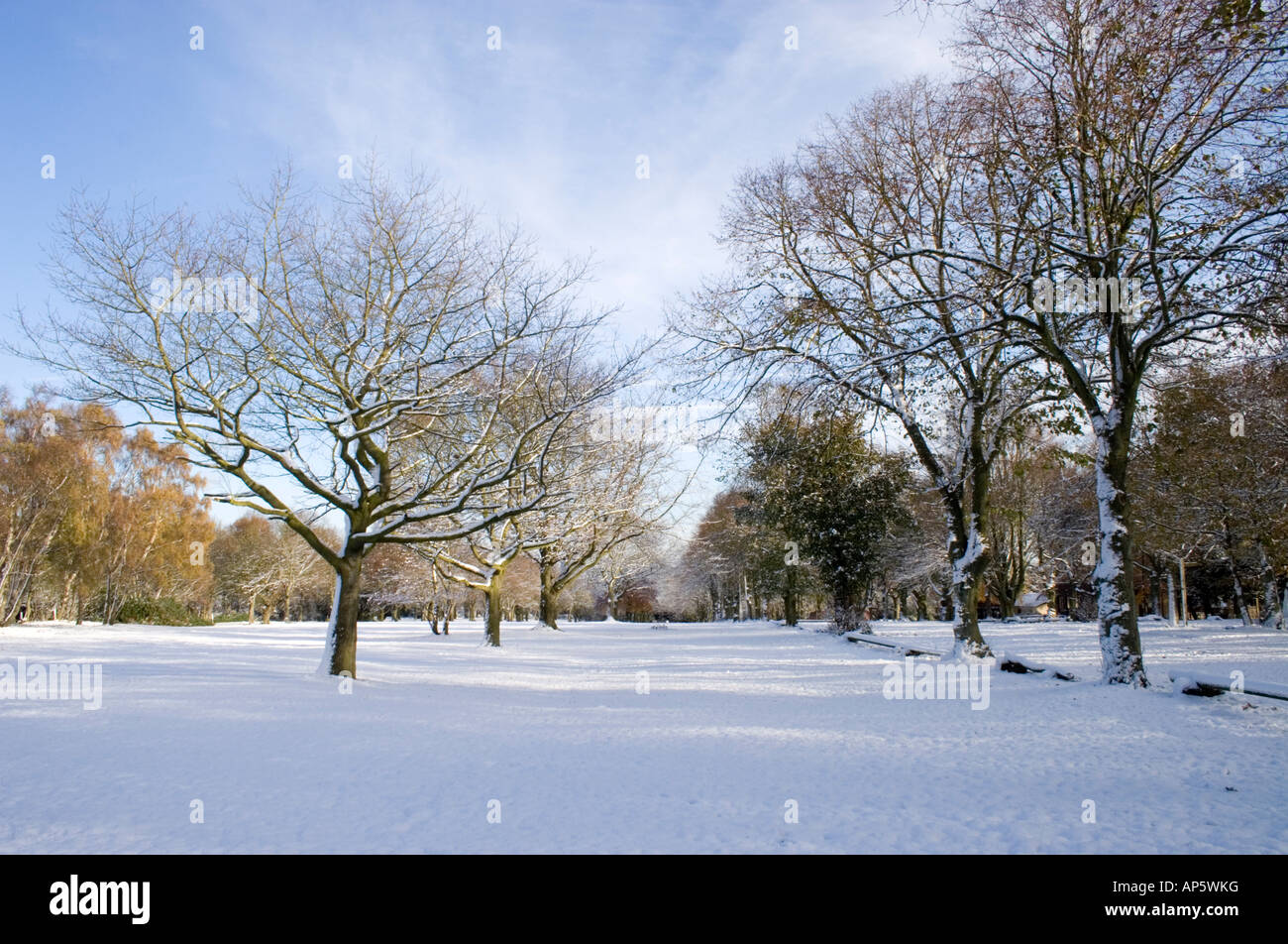 Snow and Frost early winter morning in November at Beaudesert Park ...