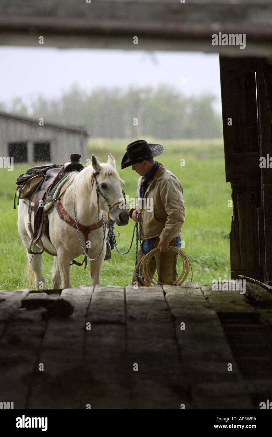 Horse cowboy rain hi-res stock photography and images - Alamy