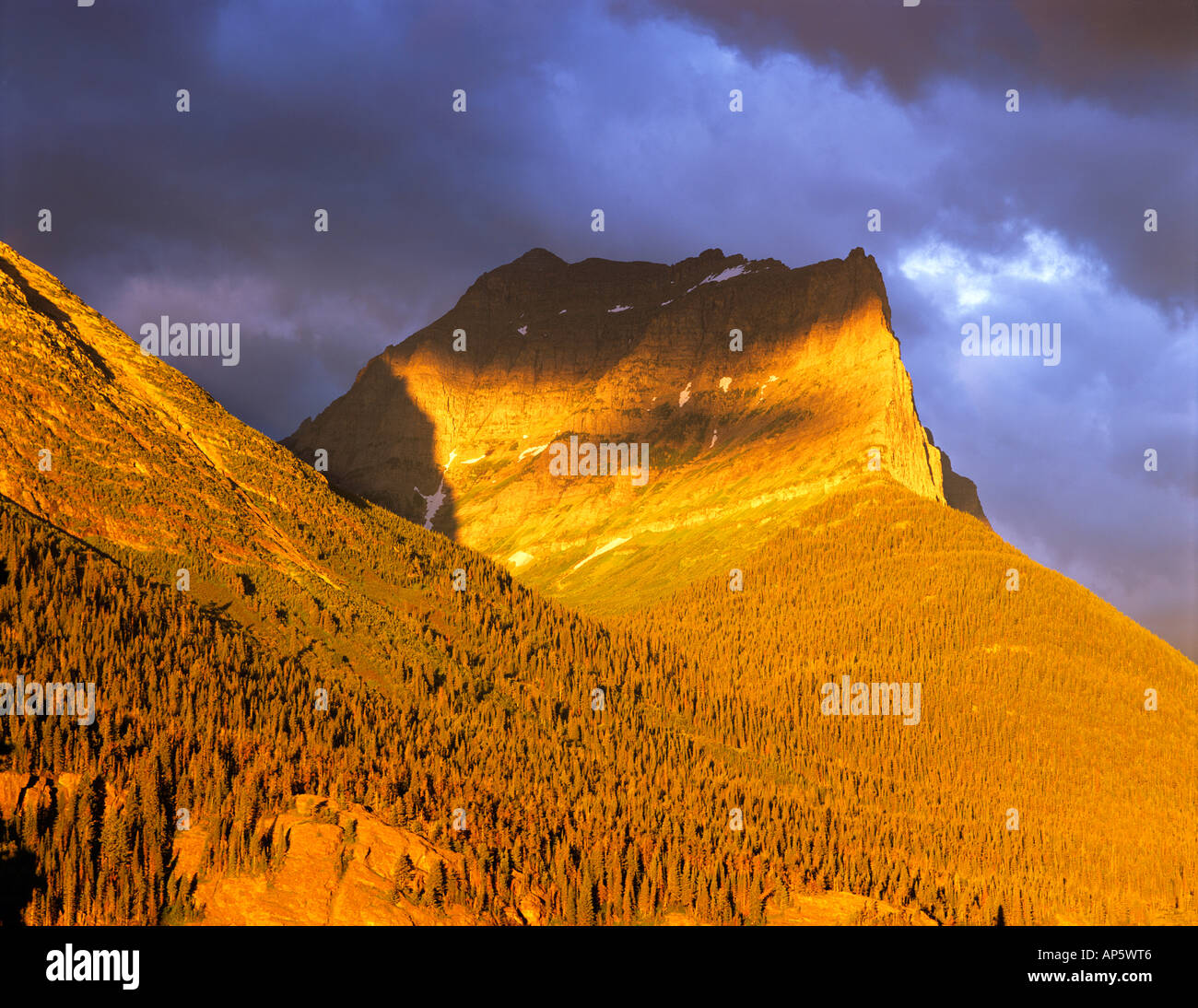 Dusty Star Mountain in morning light in glacier National Park in ...