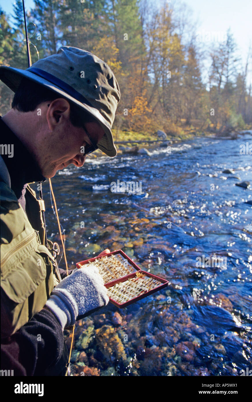Fly fisherman selects fly ties on the Jocko River in Montana (MR Stock ...