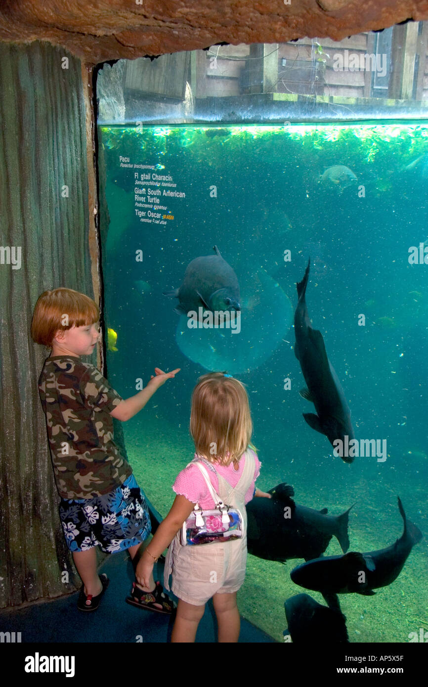 Children look at fish in an underwater viewing display at the zoo in ...