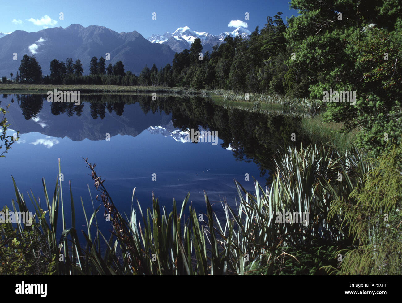 Lake Matheson in the South Island of New Zealand Stock Photo - Alamy