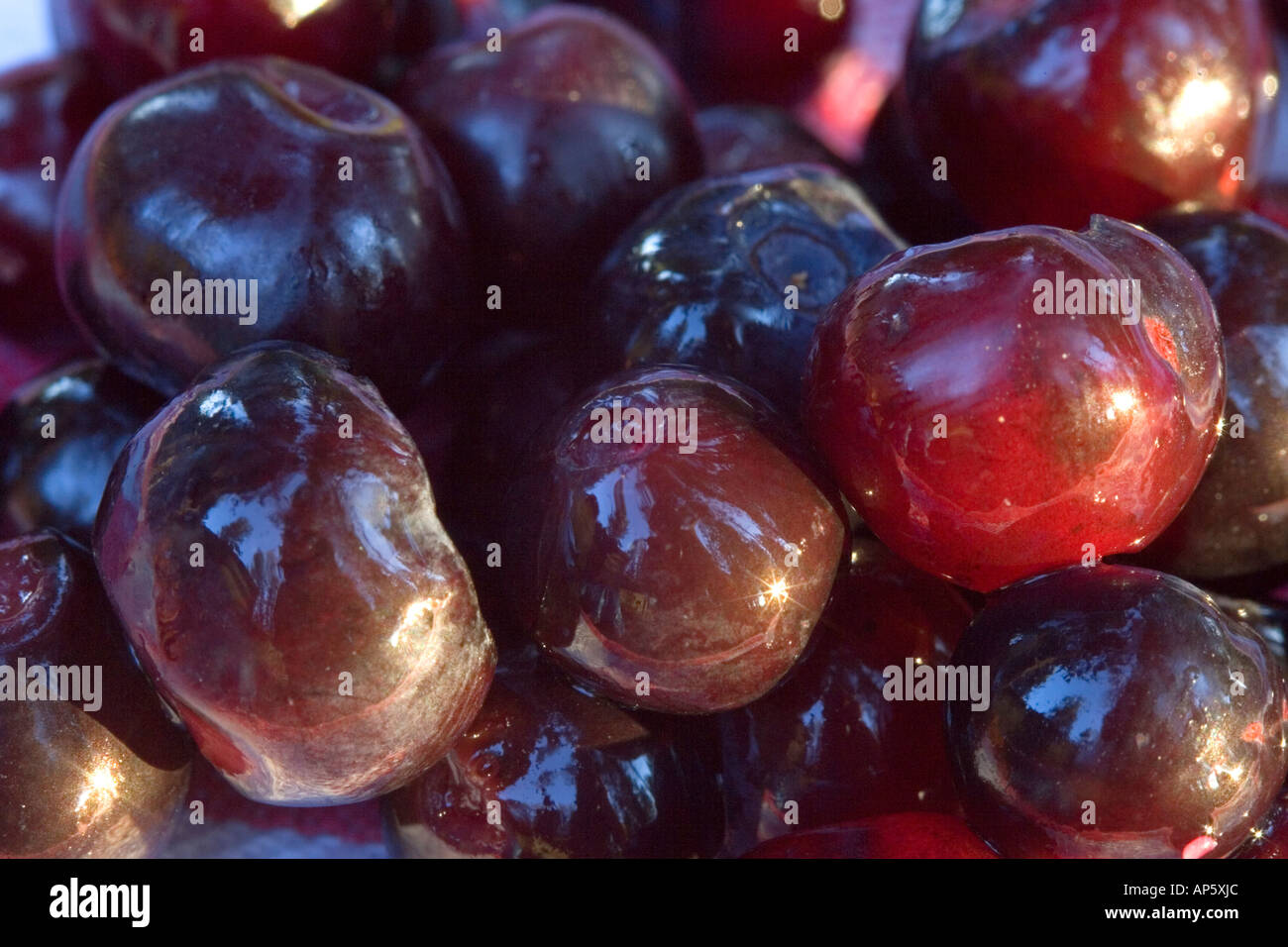 Huckleberries montana hi-res stock photography and images - Alamy