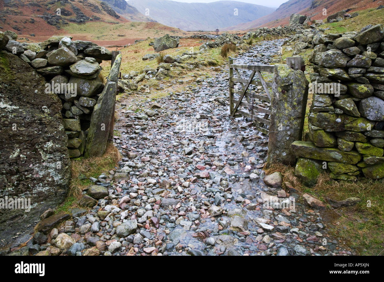 Rock strewn path through Langstrath Valley Stock Photo - Alamy