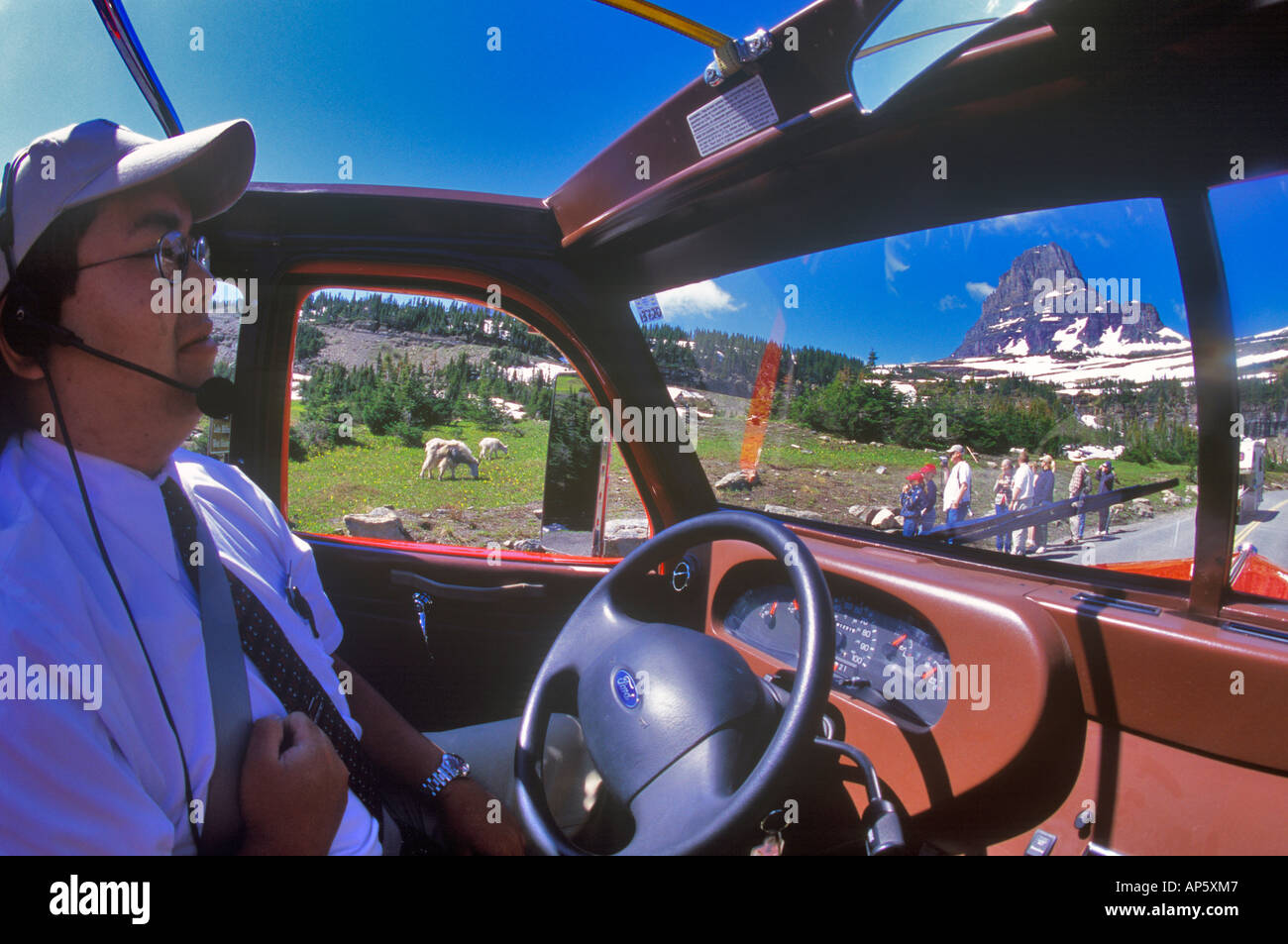 Red Jammer bus pulls up to Logan Pass and mountain goats in Glacier ...