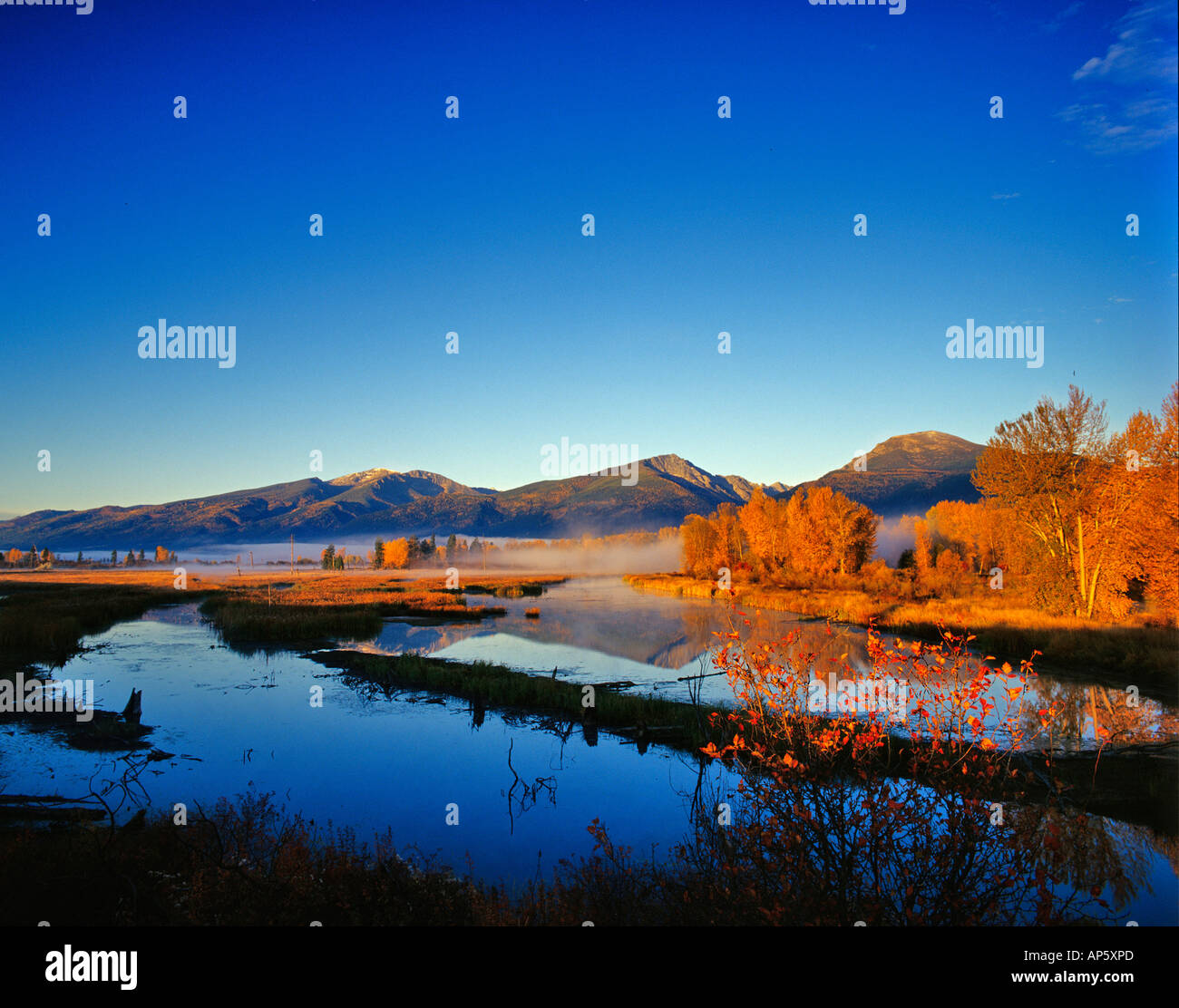 Ponds at Lee Metcalf NWR with Bitterroot Mountains near Florence Montana Stock Photo - Alamy