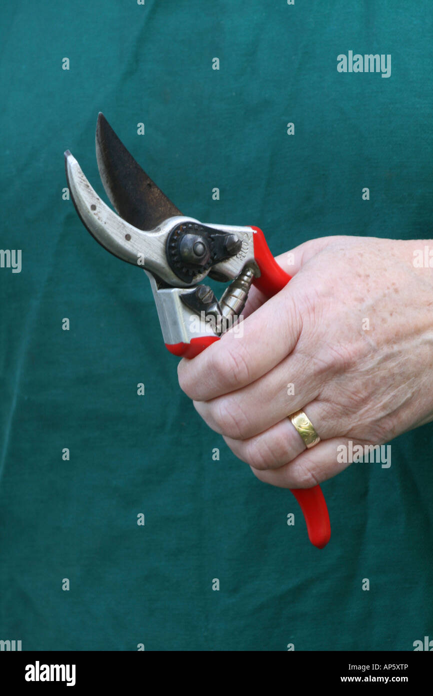 Left handed secateurs Stock Photo - Alamy