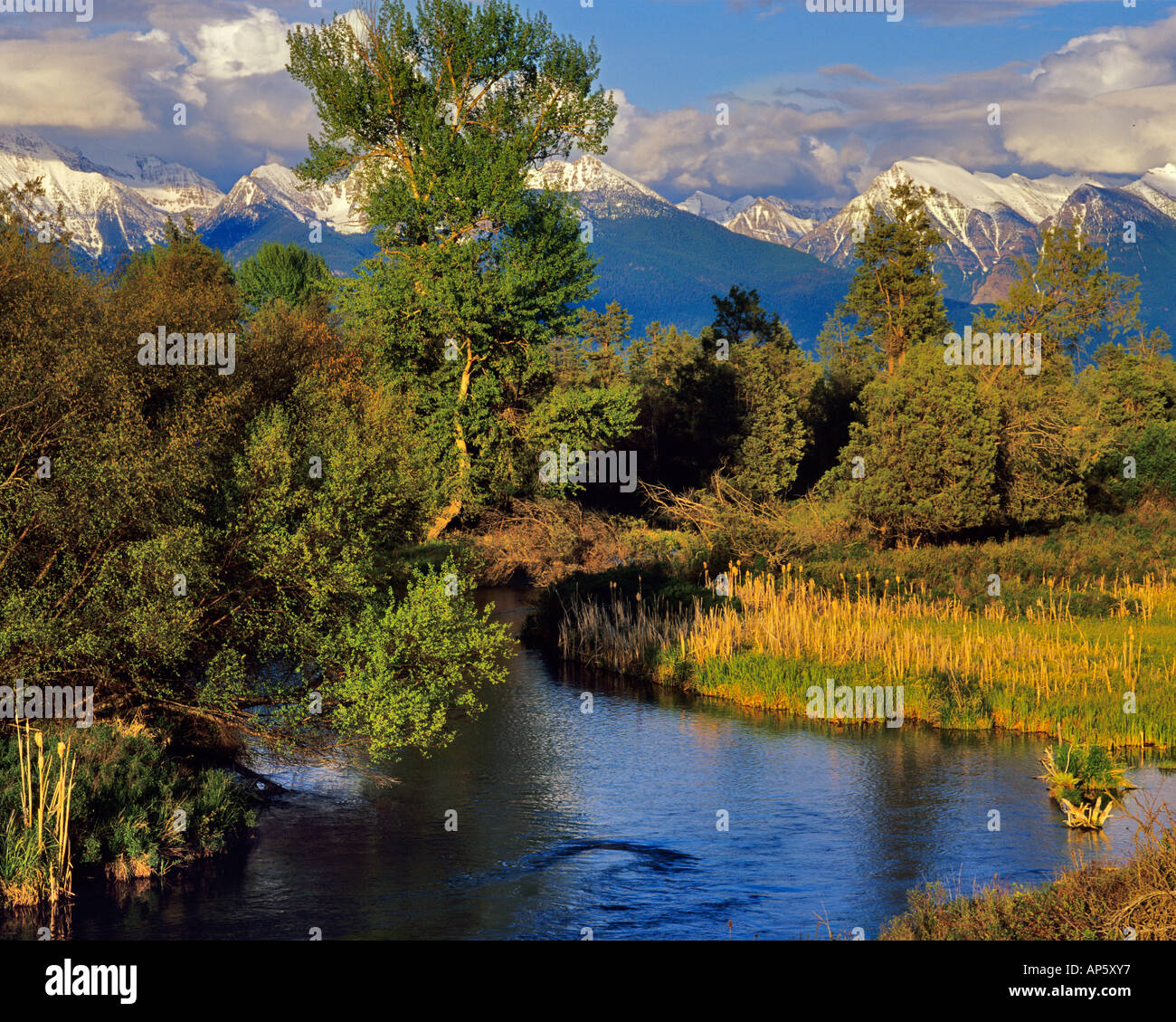 Mission Creek in the National Bison Range in Montana Stock Photo - Alamy