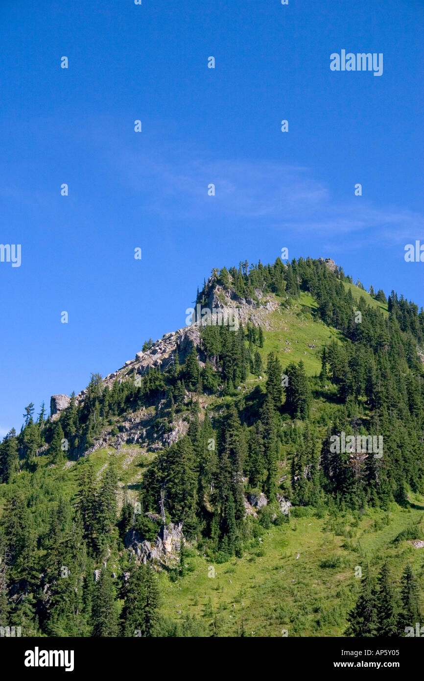 Mountain peak at Chinook Pass at the entrance of Mt Rainier National ...
