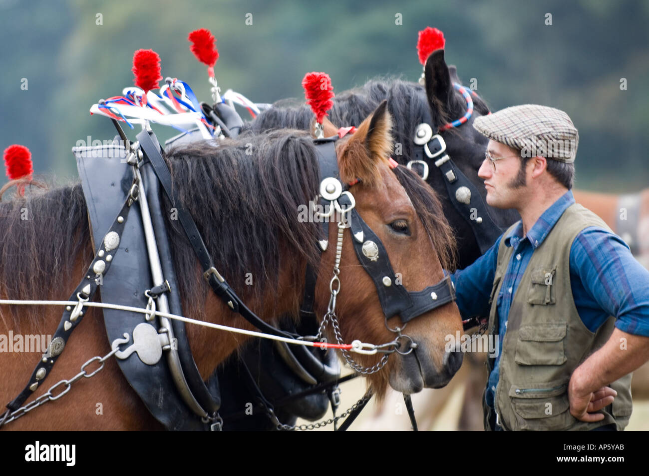 Farmer and horse on harness Stock Photo - Alamy