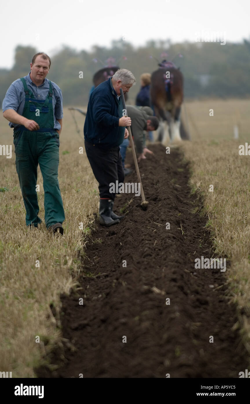 Farmers and horse drawn plough at vintage ploughing competition Stock ...