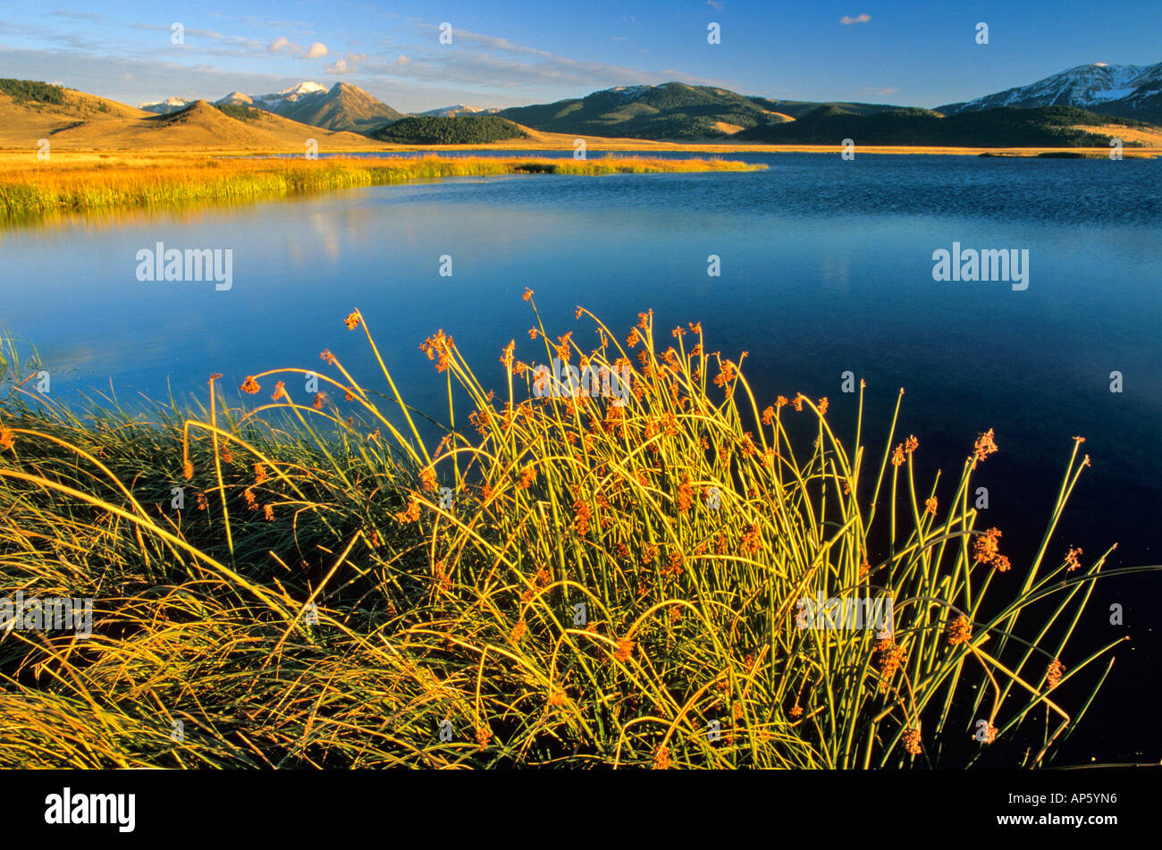 Pond at Red Rocks NWR in the Centennial Valley of Montana Stock Photo ...