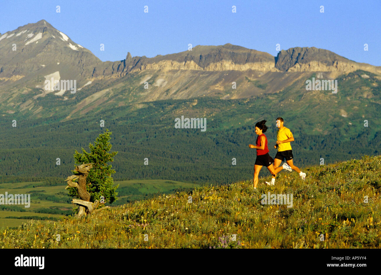 Marias pass hi-res stock photography and images - Alamy