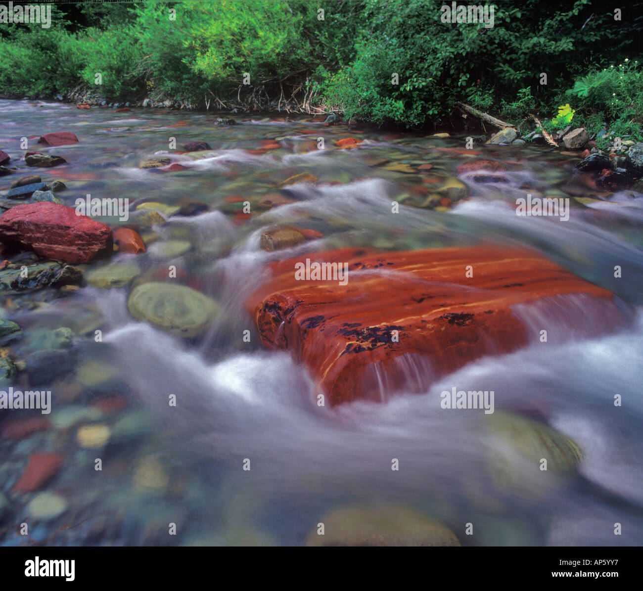 Tuchuck Creek in the Flathead National Forest of Montana Stock Photo ...