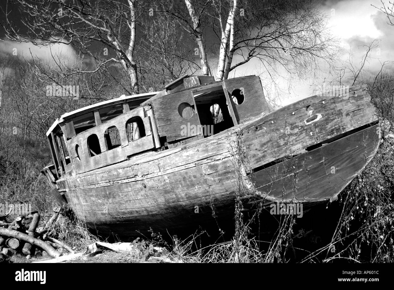 Abandoned boat in trees Stock Photo - Alamy