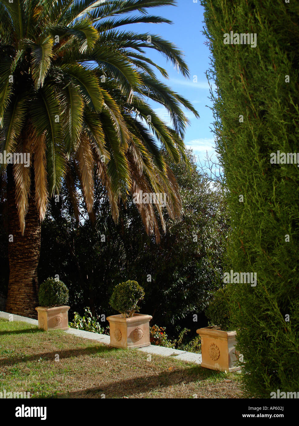 Provence cypress tree hi-res stock photography and images - Alamy