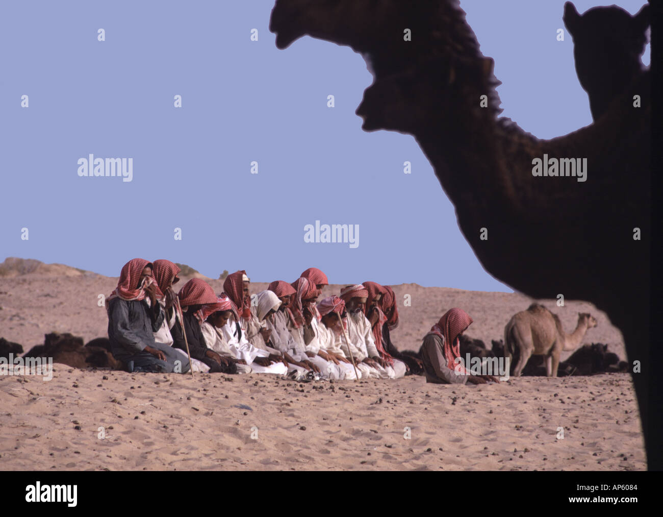 Saudi Arabia, Empty Quarter. Al Murrah Bedouin pray towards Mecca while ...