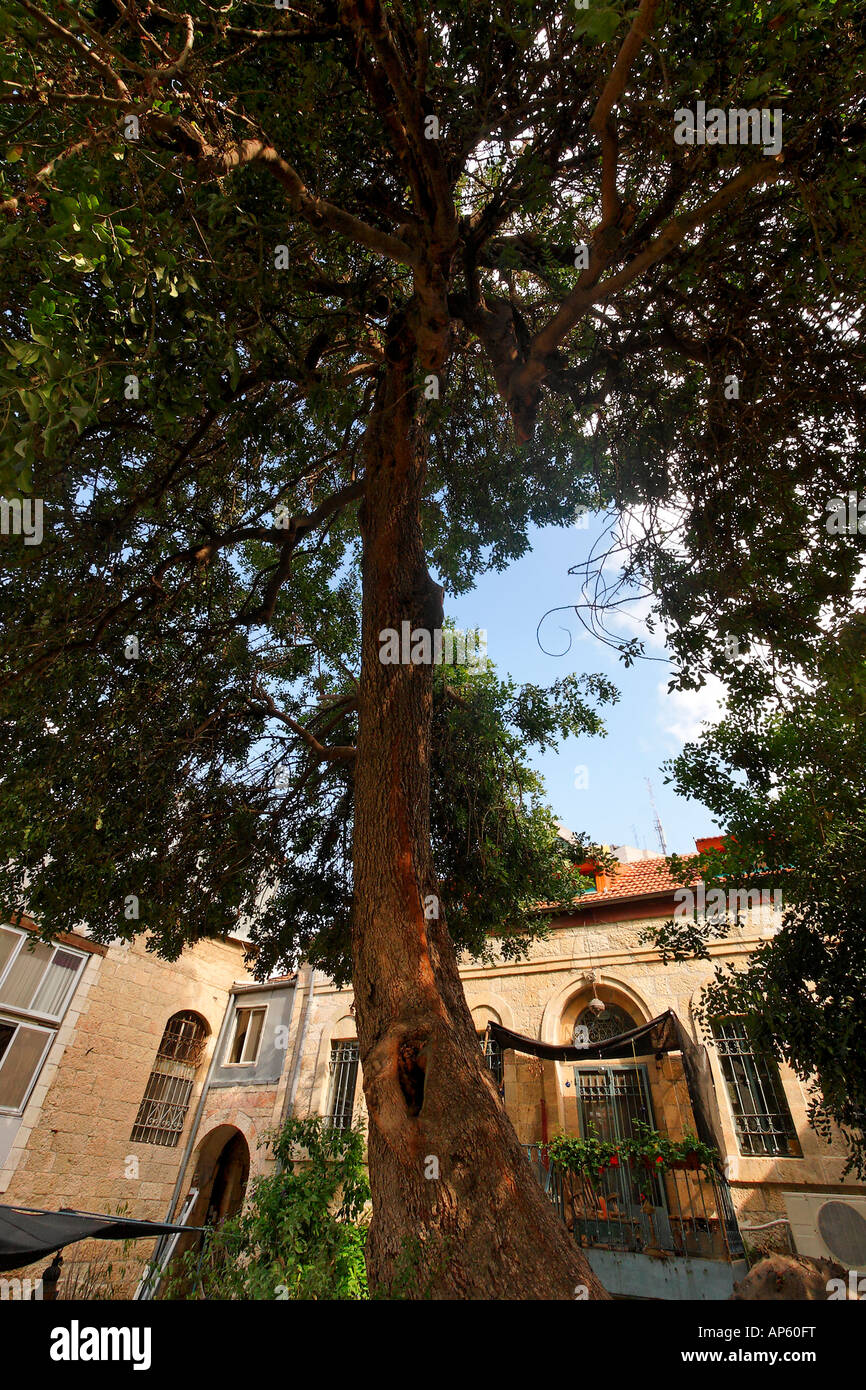 Nachlaot hi-res stock photography and images - Alamy