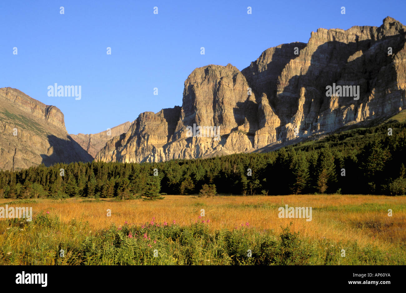 North America, USA, Montana, Glacier National Park. Altyn Peak in the ...