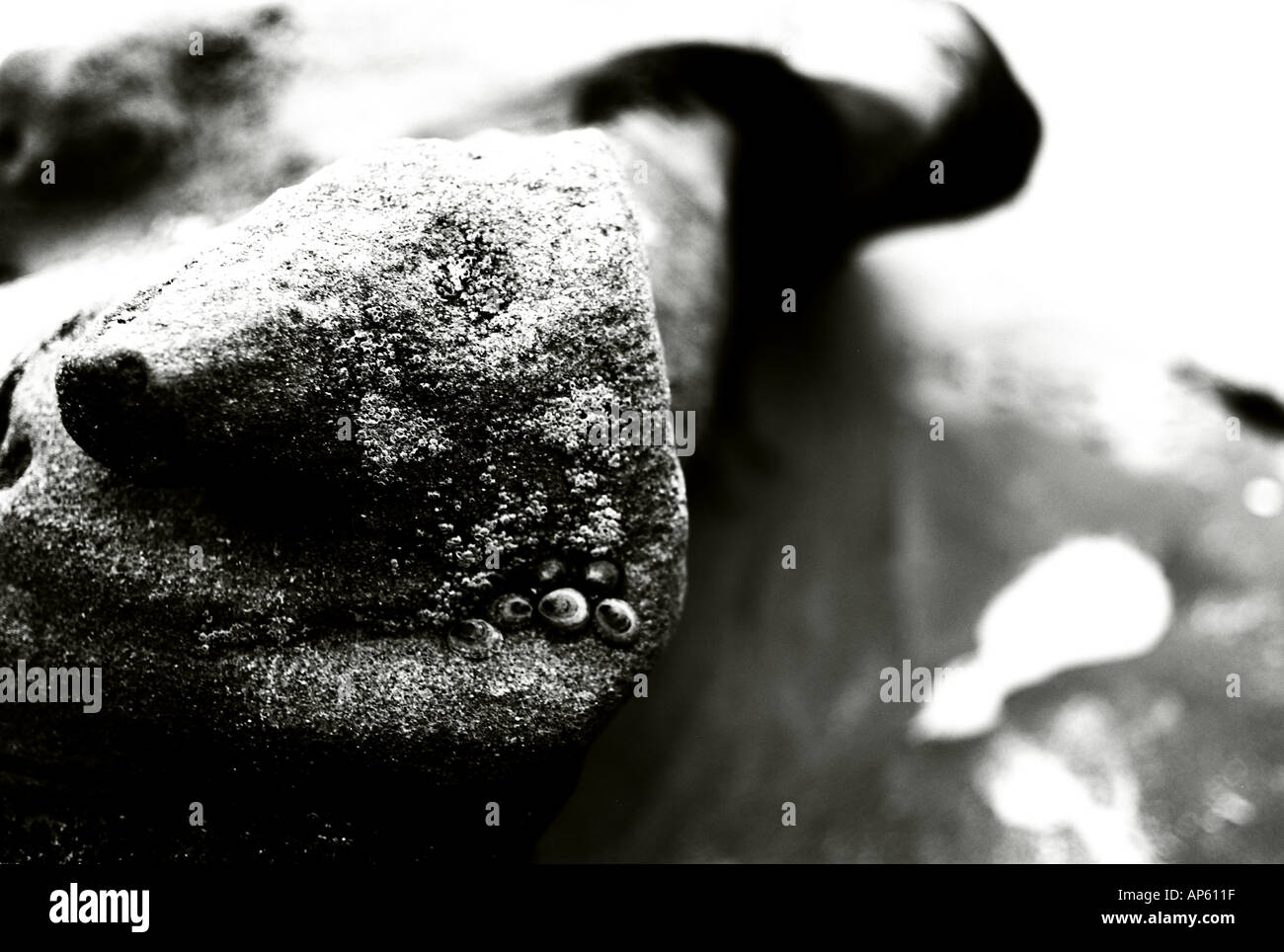 Black and white oceanscape high contrast Stock Photo - Alamy