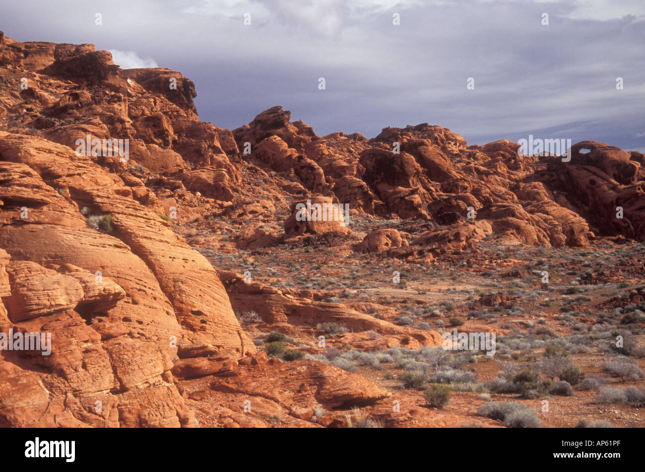 Red sandstone formations. Valley of Fire State Park. Nevada, USA Stock ...