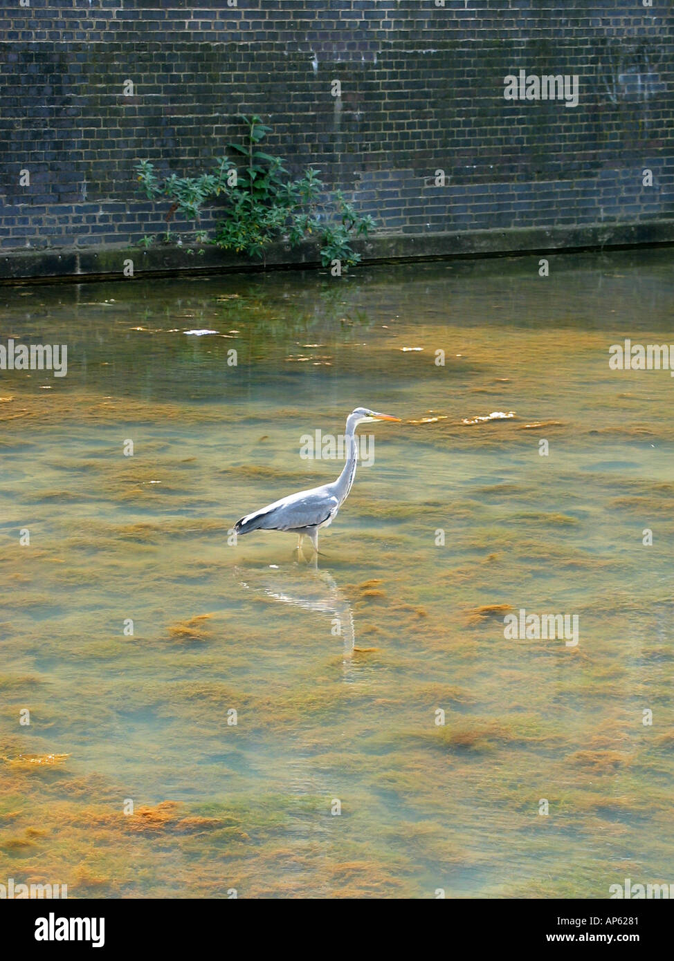 Wapping canal hi-res stock photography and images - Alamy