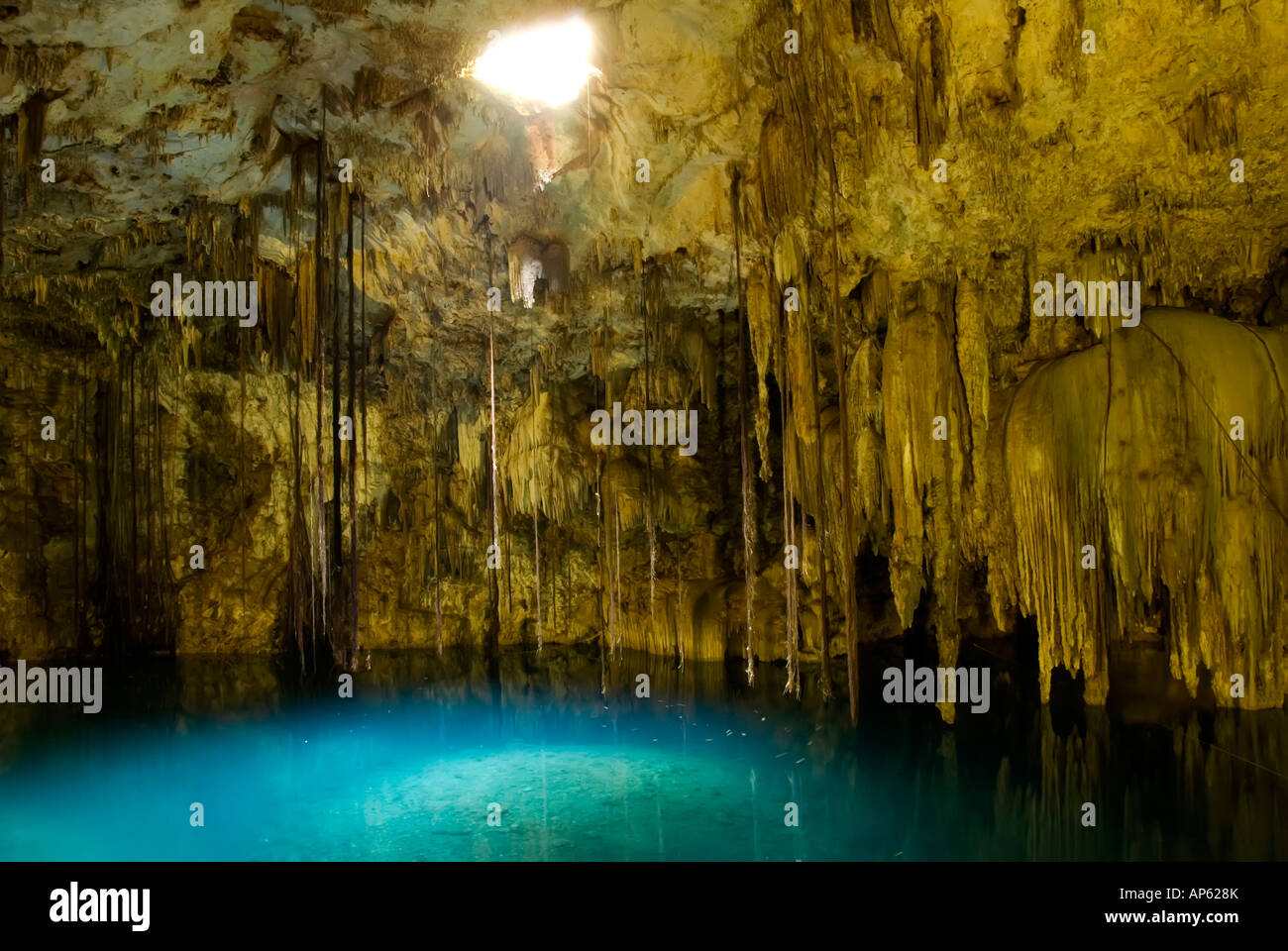 Cenotes natural swimming holes hi-res stock photography and images - Alamy