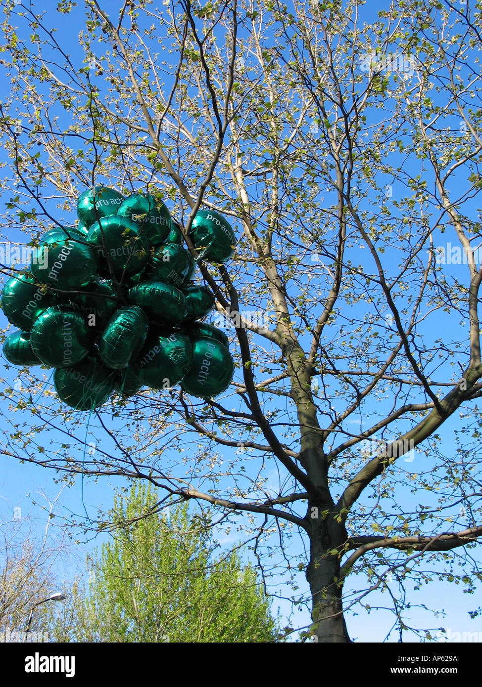 Balloons in Tree Stock Photo - Alamy