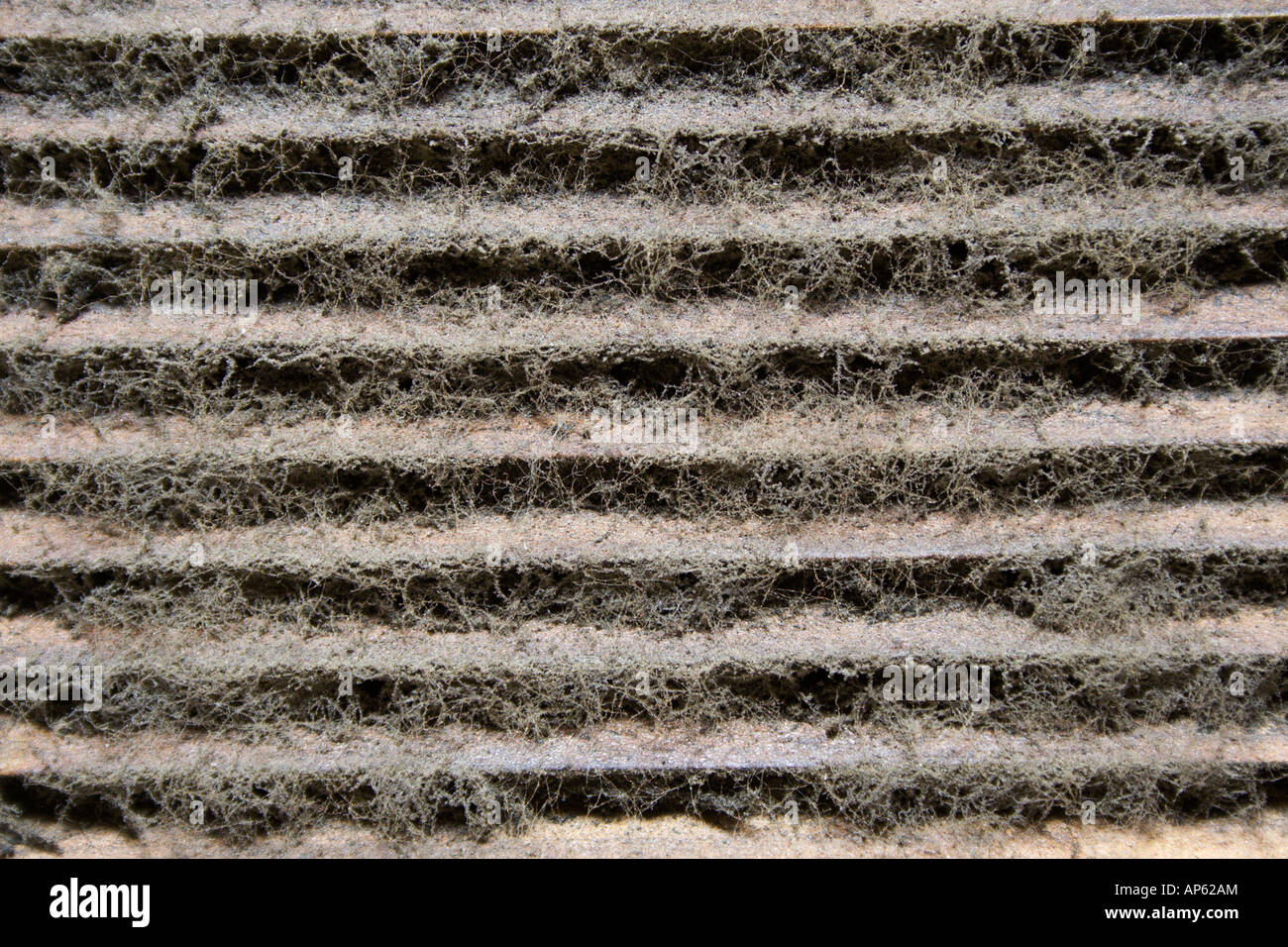 dust accumulation in the drawoff Stock Photo - Alamy
